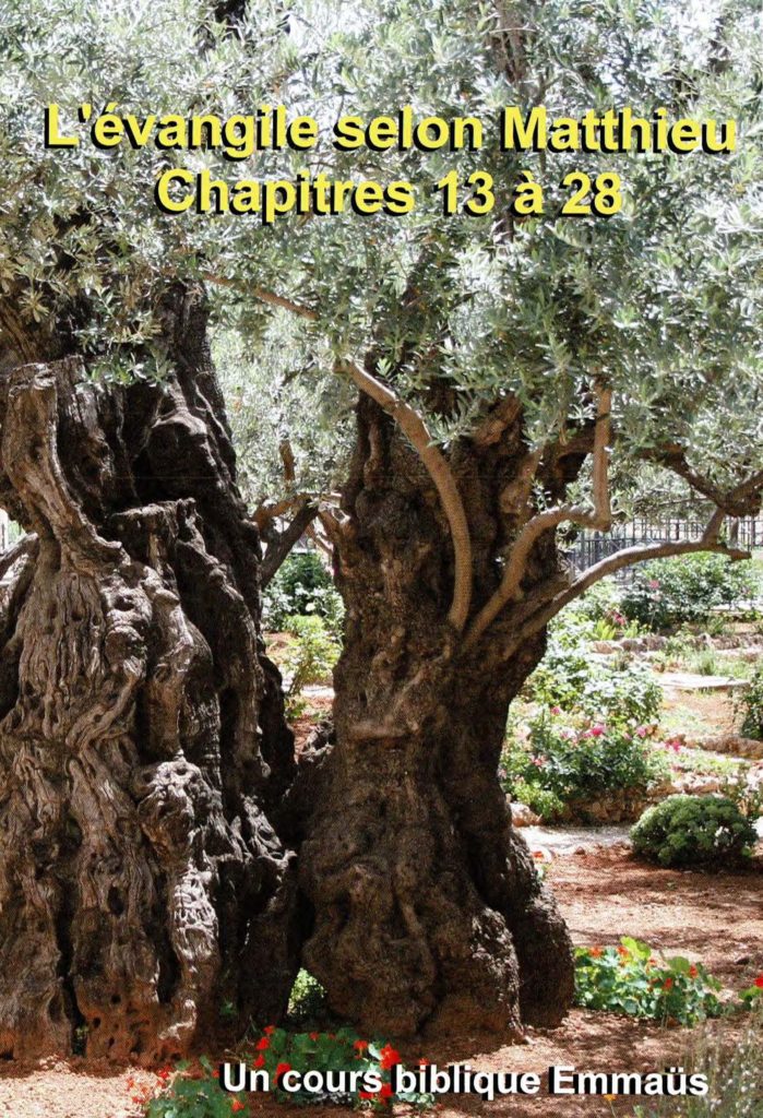 Évangile de Matthieu Chapitre 1 à 12 – Emmaus Correspondence Centre Canada